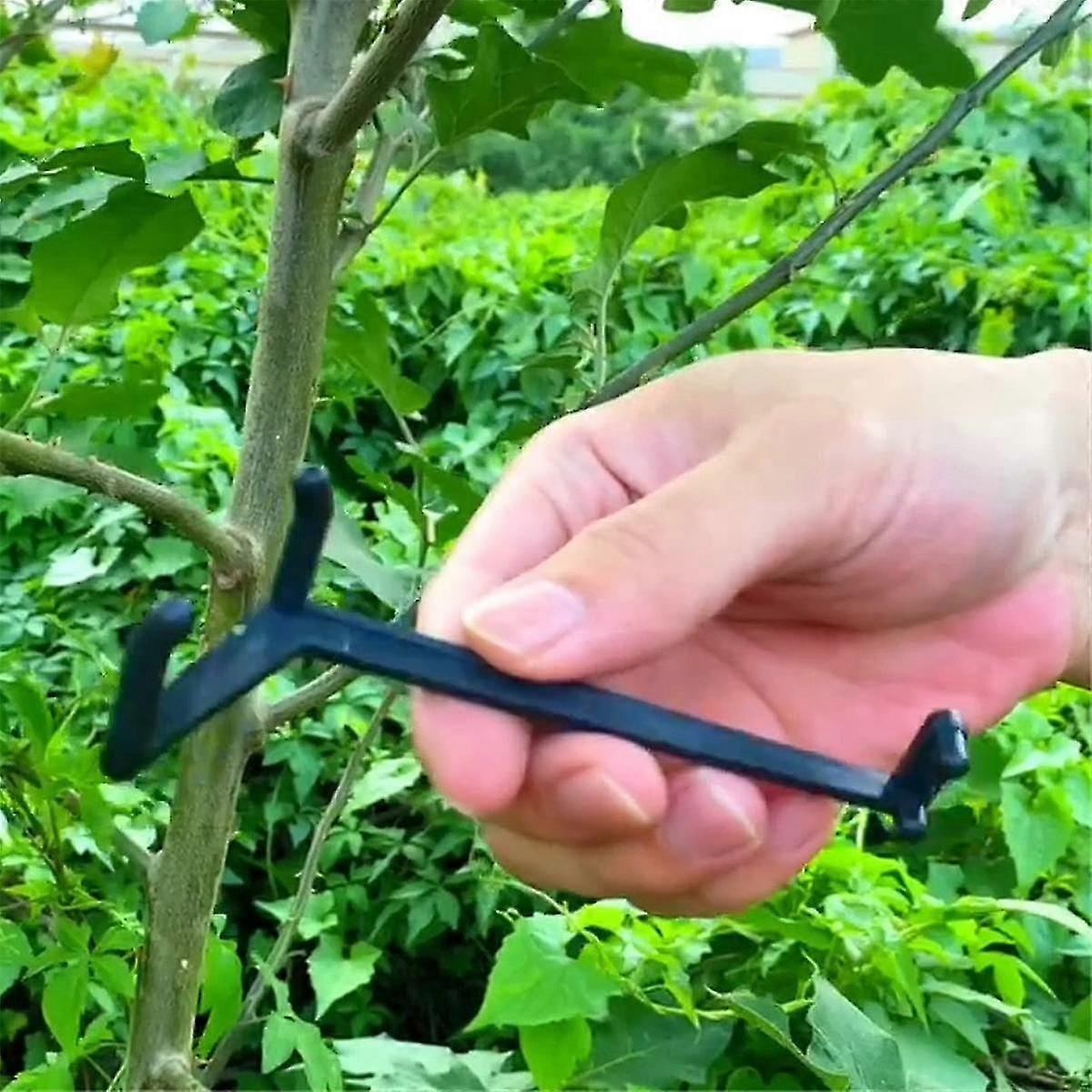 Branch Spreaders Plant Stem Traine Fruit Tree Branch Puller Tying ...