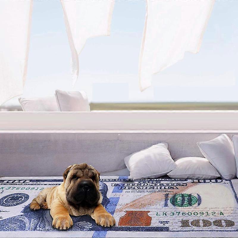 Money Rugs 100 Dollar Bill Runner Area Rug for Living Room | Fruugo UK