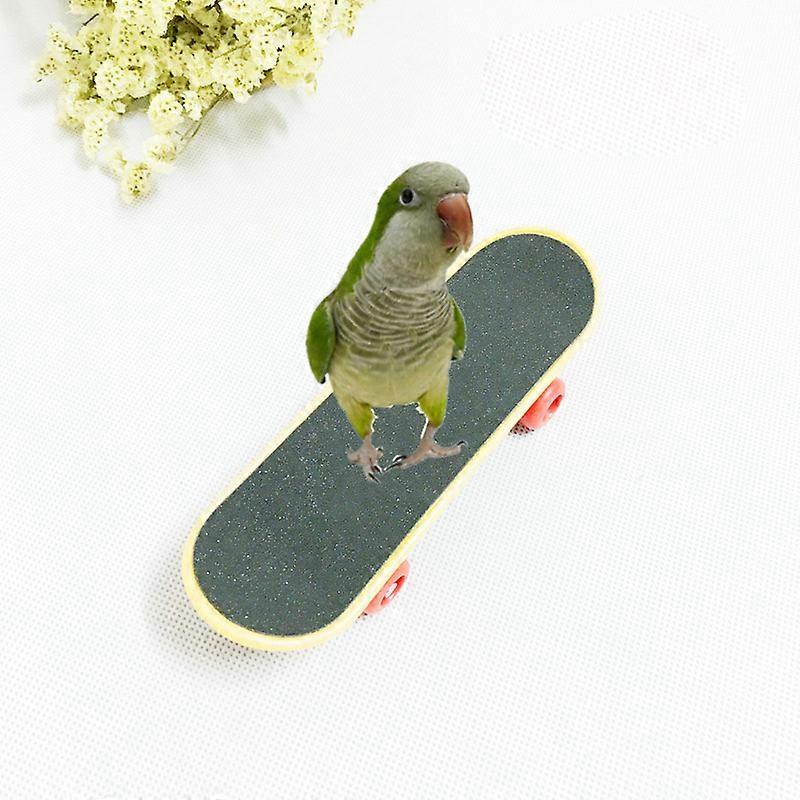 Mini Skateboard for Cockatiel Budgies Bird Parrot Standing Swing ...