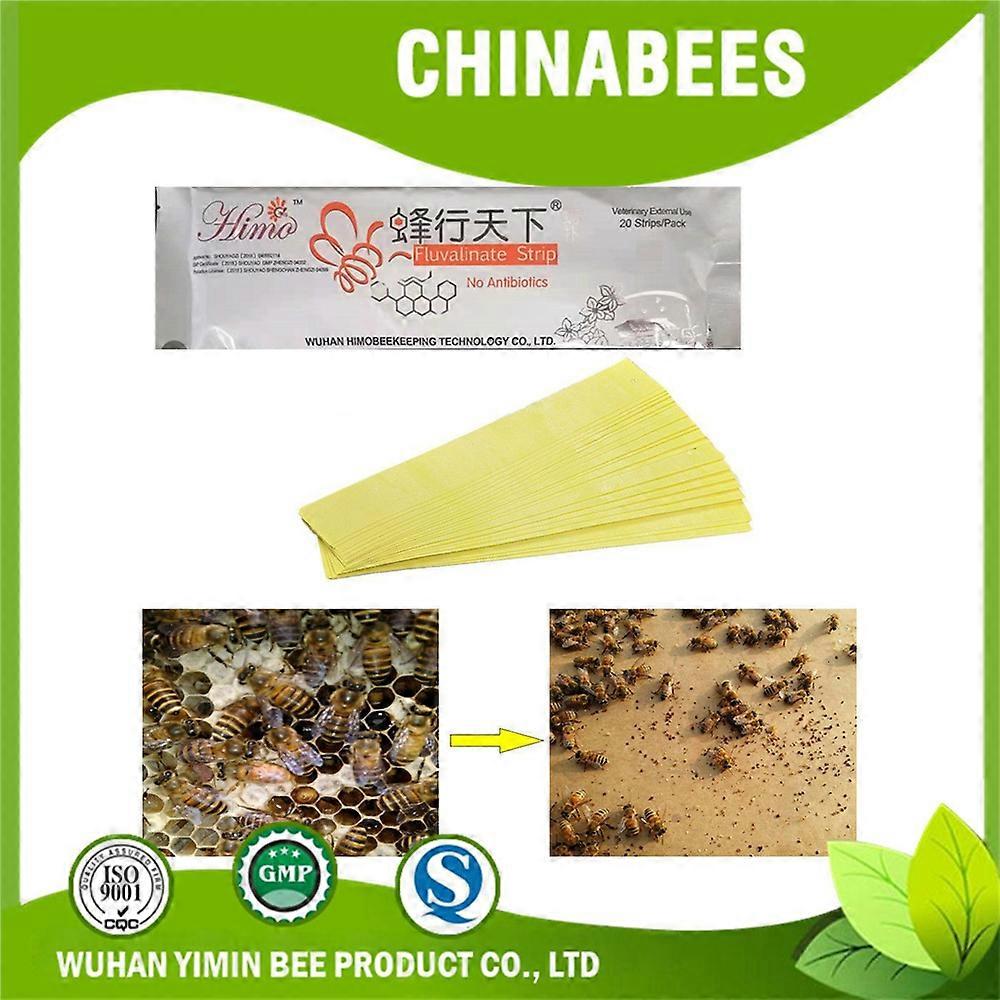 Bee Mite Acaricide Strip Beekeeping Bee Varroa Mite Killer Pest Control ...