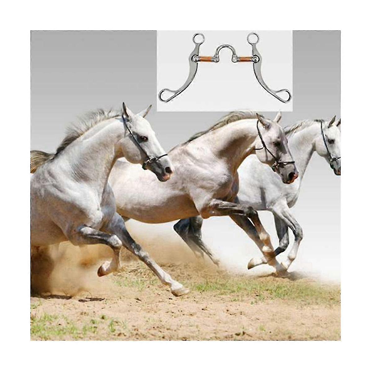 Stainless Steel Snaffle Bit Horse Bits Western Snaffle Bits For Mouth ...