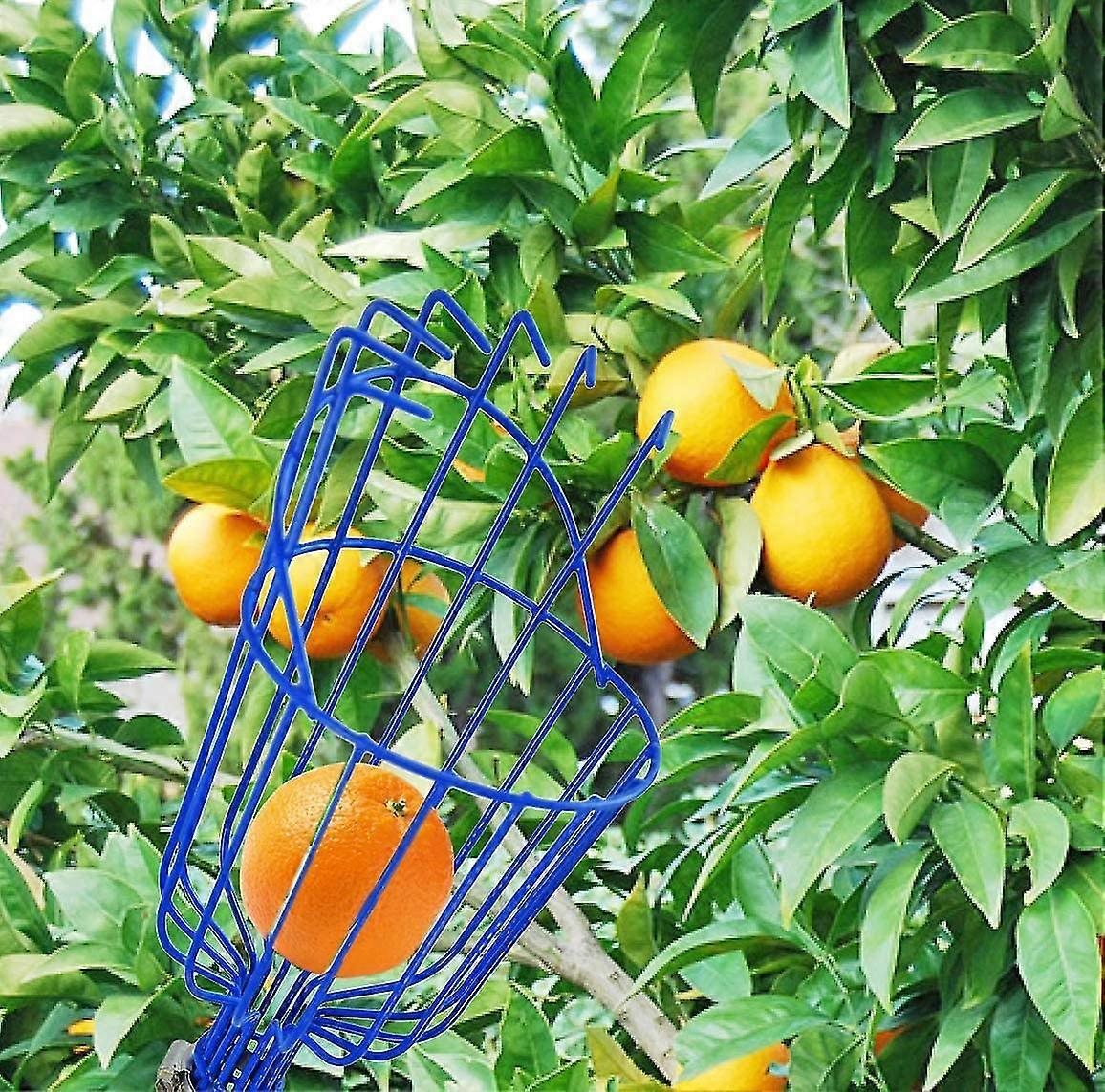 Fruit Picker Adjustable Lightweight Fruit Catcher Tool Stainless Steel ...