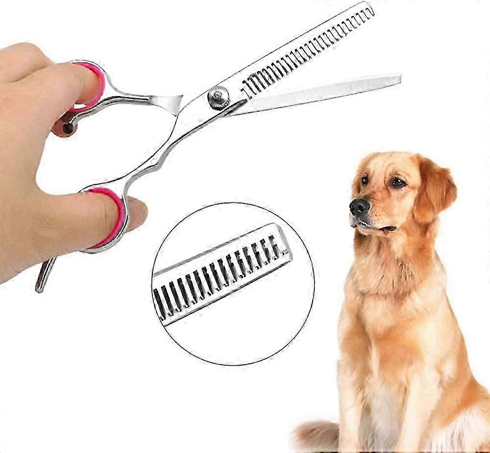 Ailova Pet Dog Grooming Scissors Stainless Steel Curved Blade Gromming ...