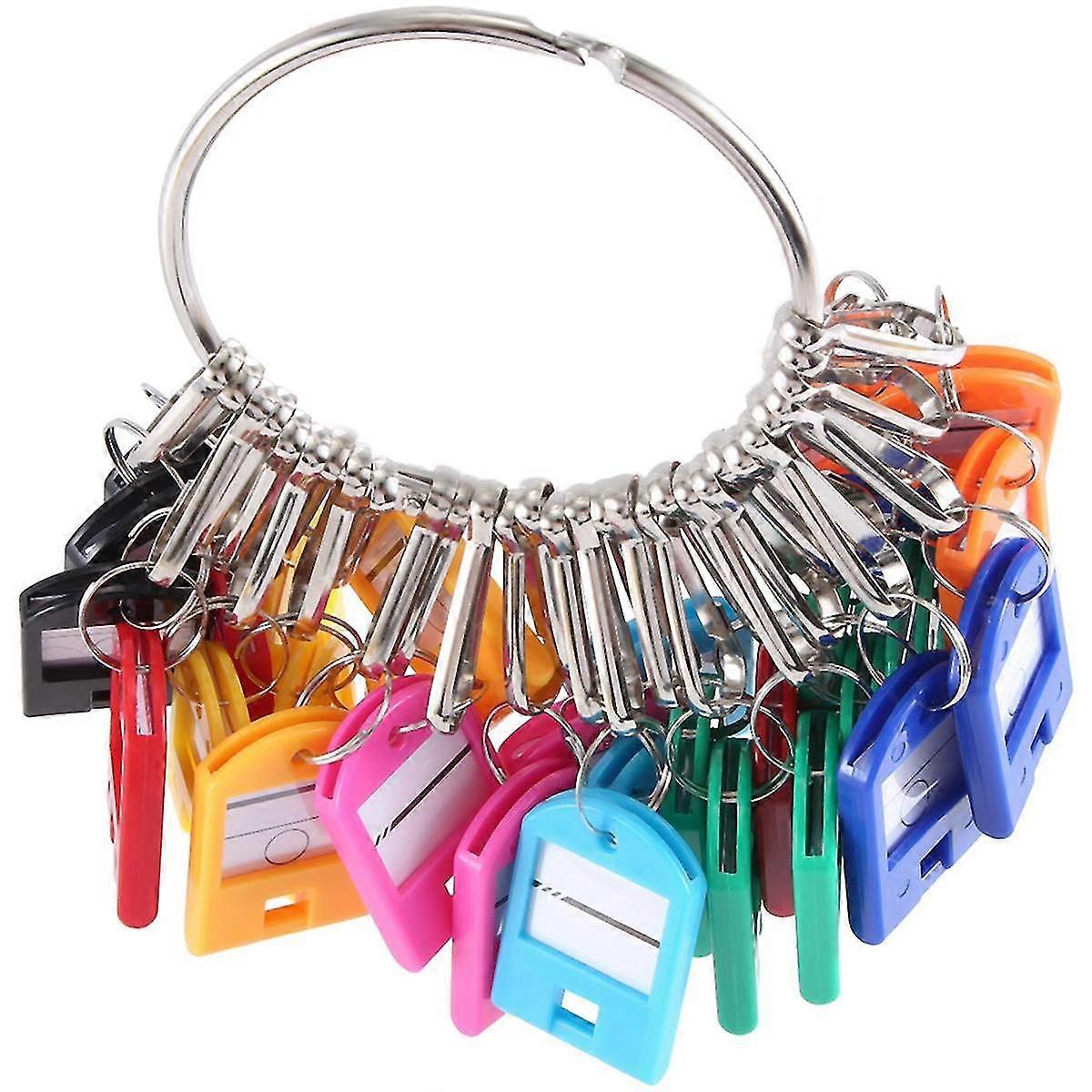 Portable Key Organizer, with 30 Individual Spring Hooks and Key Tags ...