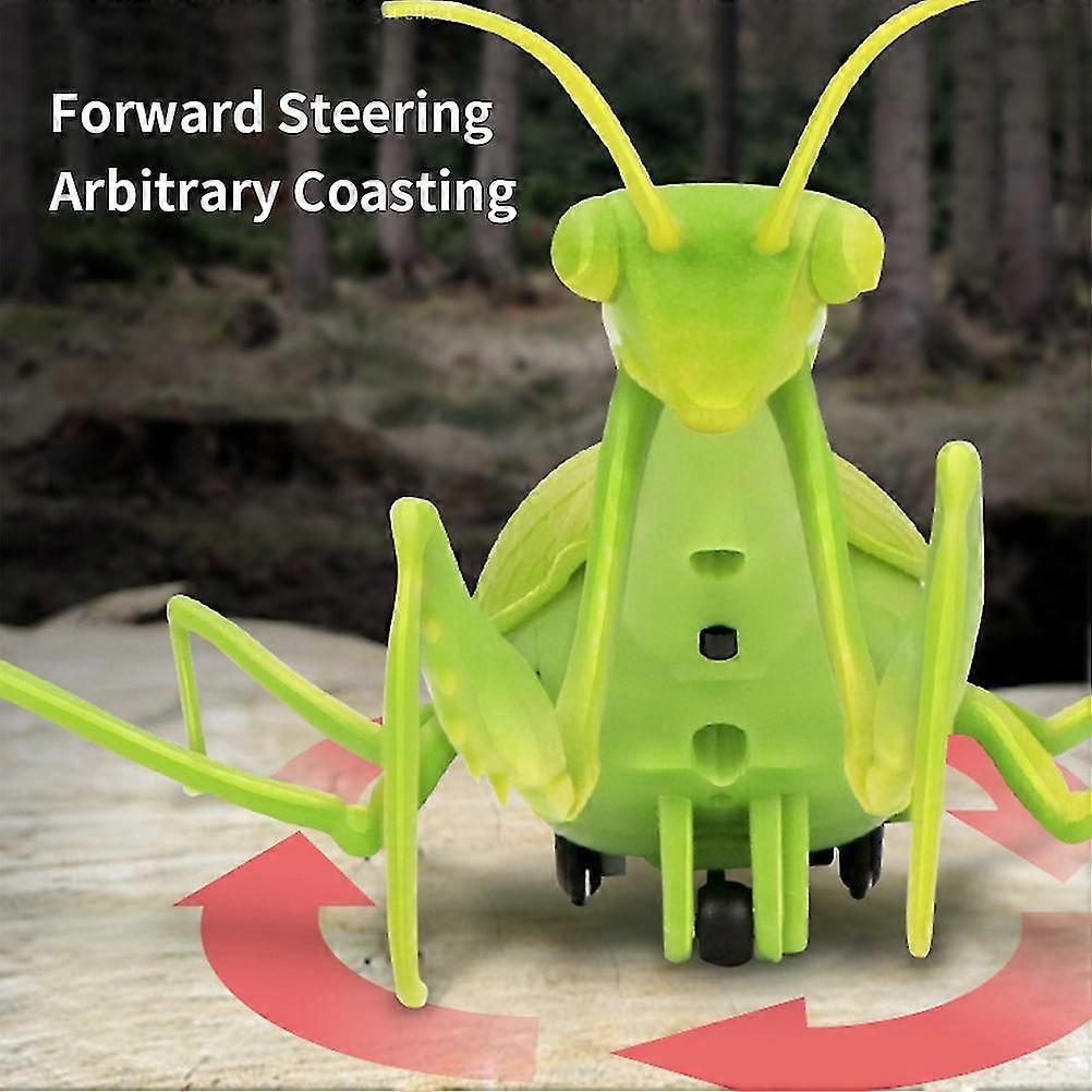 Infrared Remote Control Simulated Insects Toy Rc Firefly Moth Praying ...