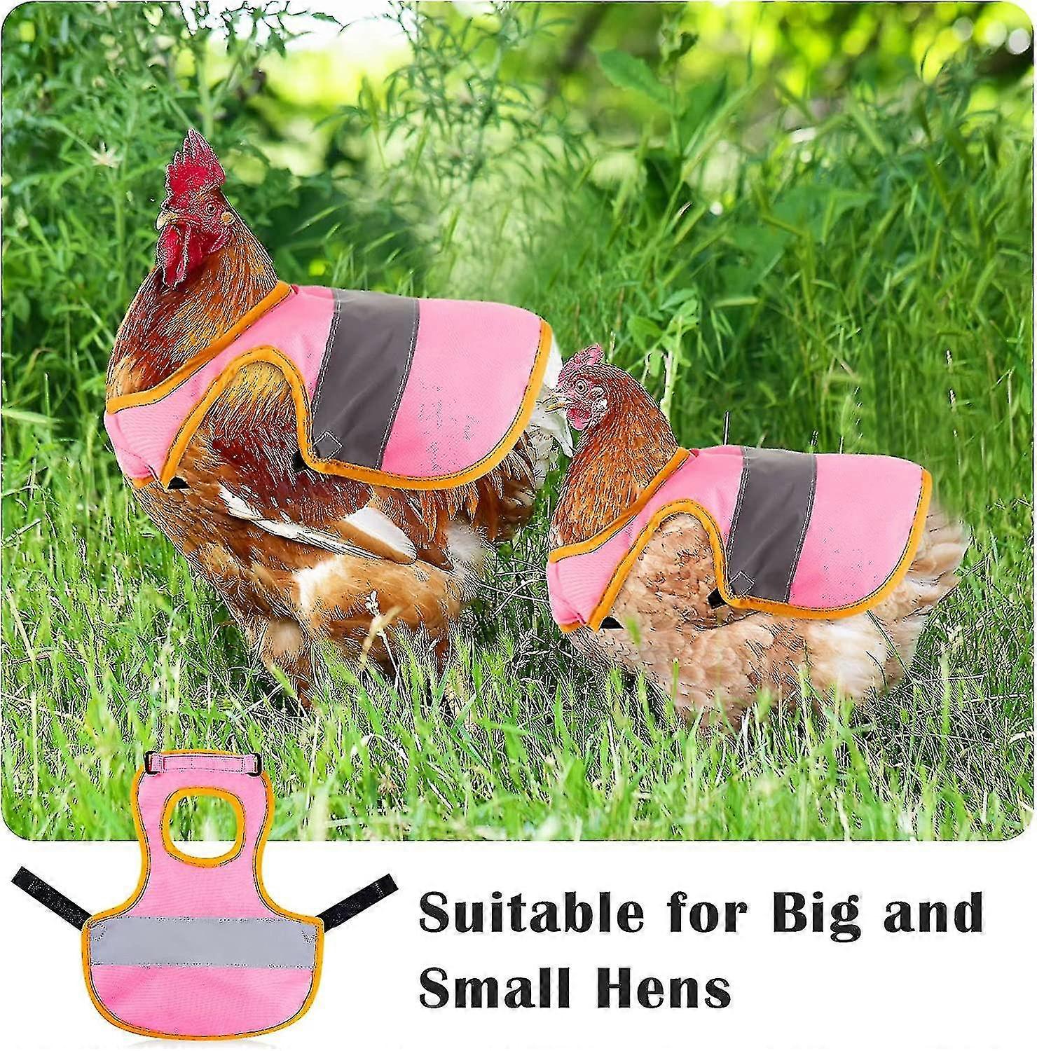 3pcs Hen Reflective Vest Adjustable Chicken Harness Walking Chicken Hen ...