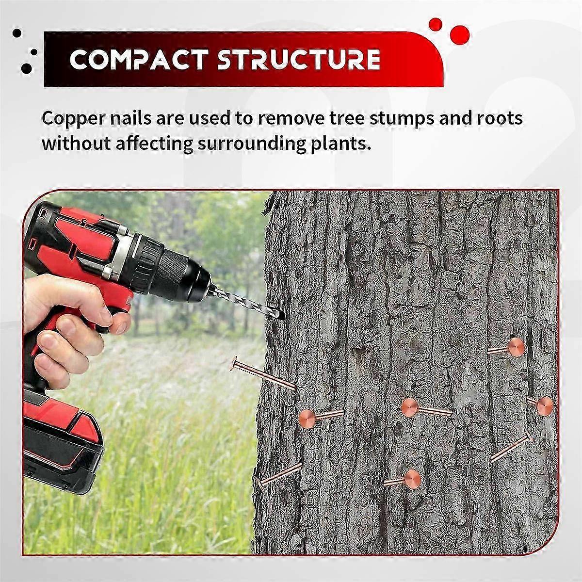 25 Pcs Copper Nails to Killing Trees,3.5 Inch Pure Copper Nails Bulk ...
