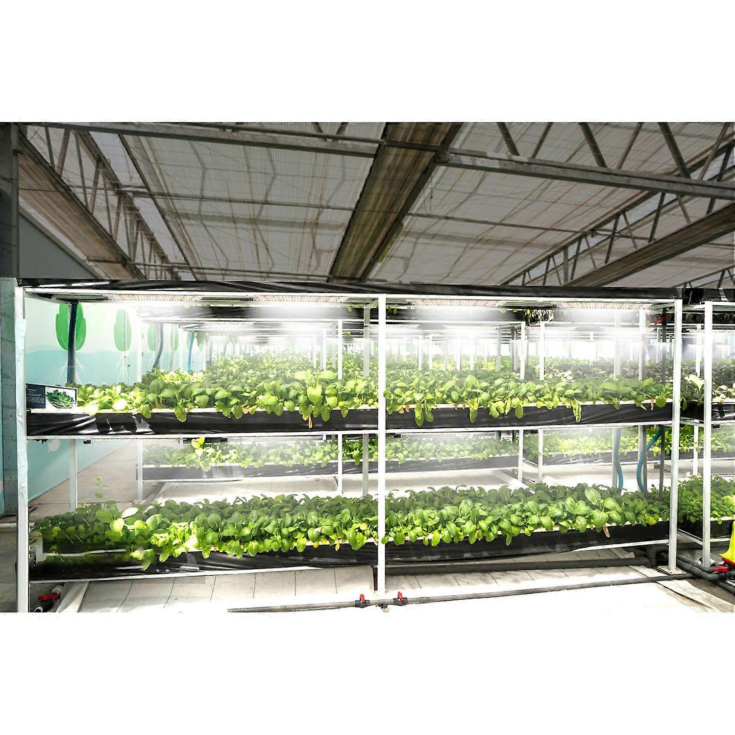 Full Spectrum LED Plant Growth Light Board Supplement Light for Indoor ...