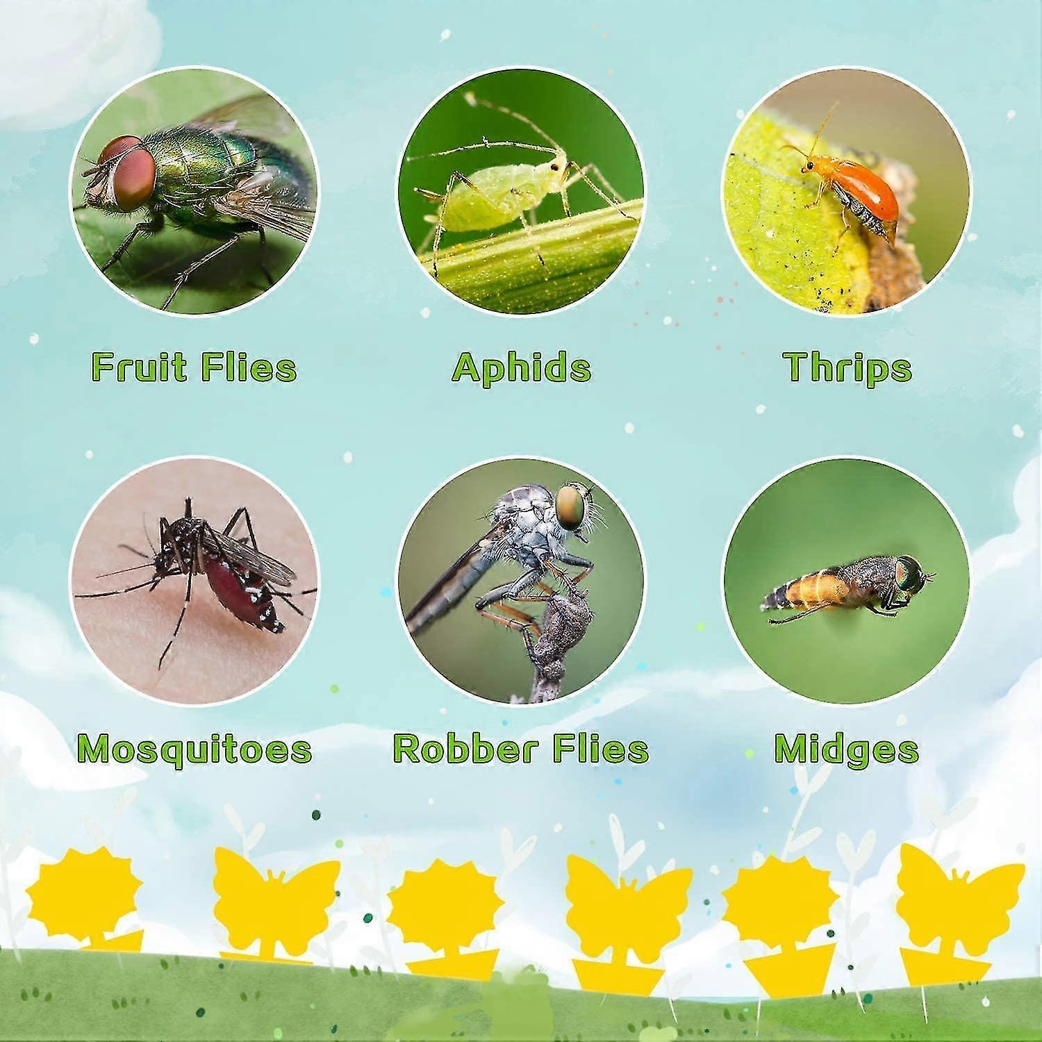 50PCS Double-sided Sticky Insect Board Bait Board Yellow Board ...