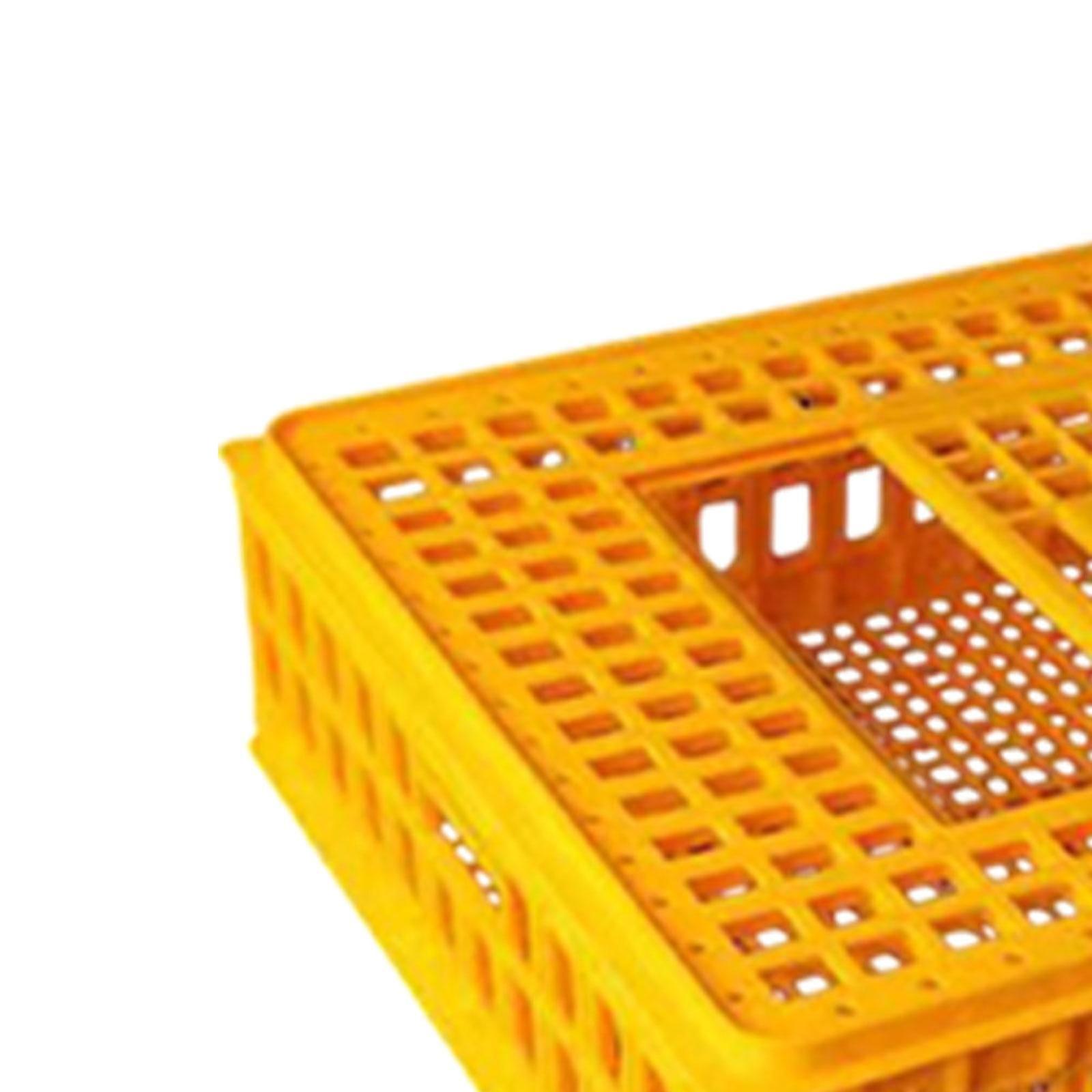 Poultry Carrier Crate Chicken Crate Transport Box for Hideaway Rutin ...