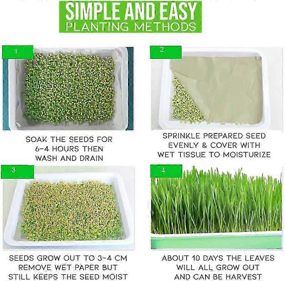 Germination Tray for Seeds to Sprout, 1pcs Seed Germination Trays ...