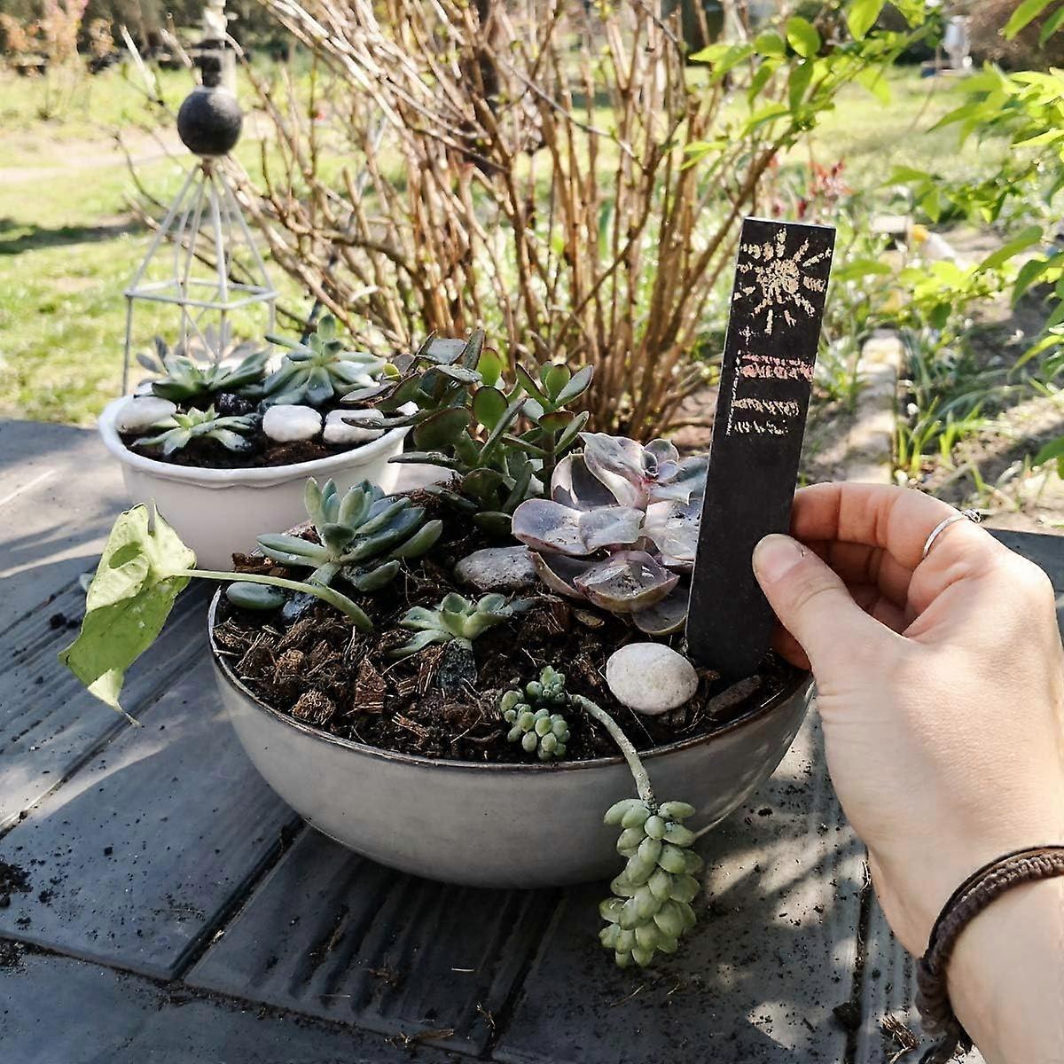 Slate Plant Label - Plant Marker 20 x 3 cm - Set of 10 Garden or ...