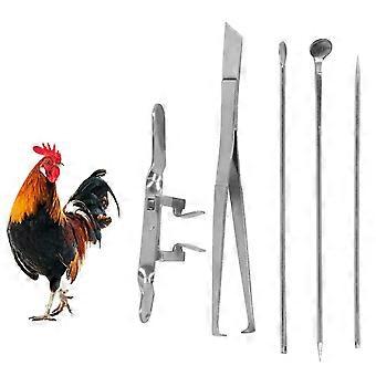 Chicken Capon Kit,Capon Knife Tool,Cock Rooster Caponizing Instruments ...