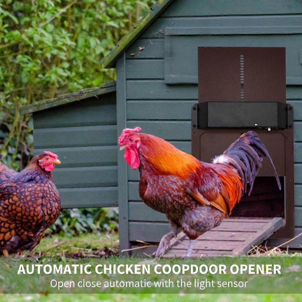 Automatic Chicken Coop Door, Chicken Coop Flap, Chicken Coop for Safe ...