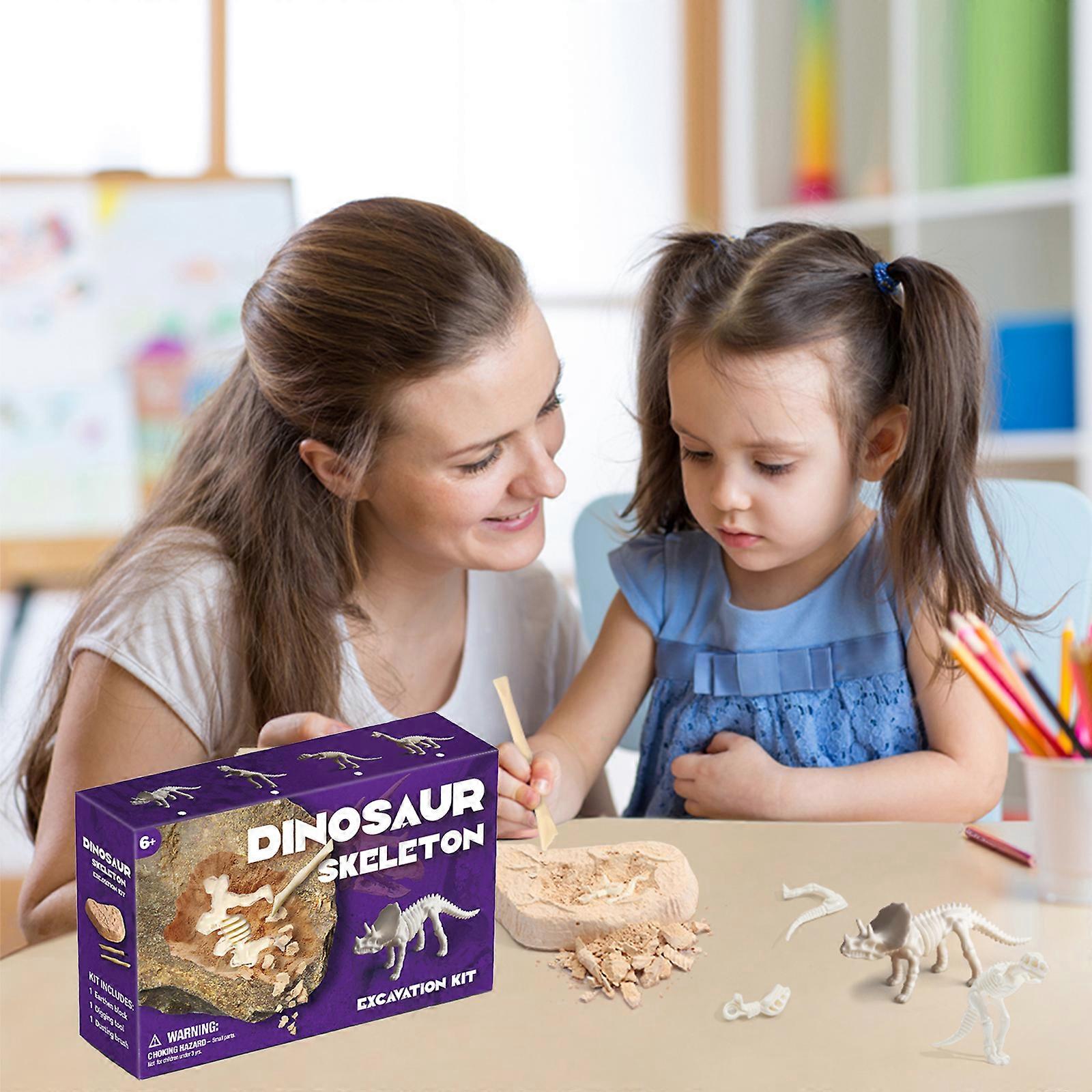 Dinosaur Digging Kit for Kids Dinosaur Bones Excavation Kit Science ...