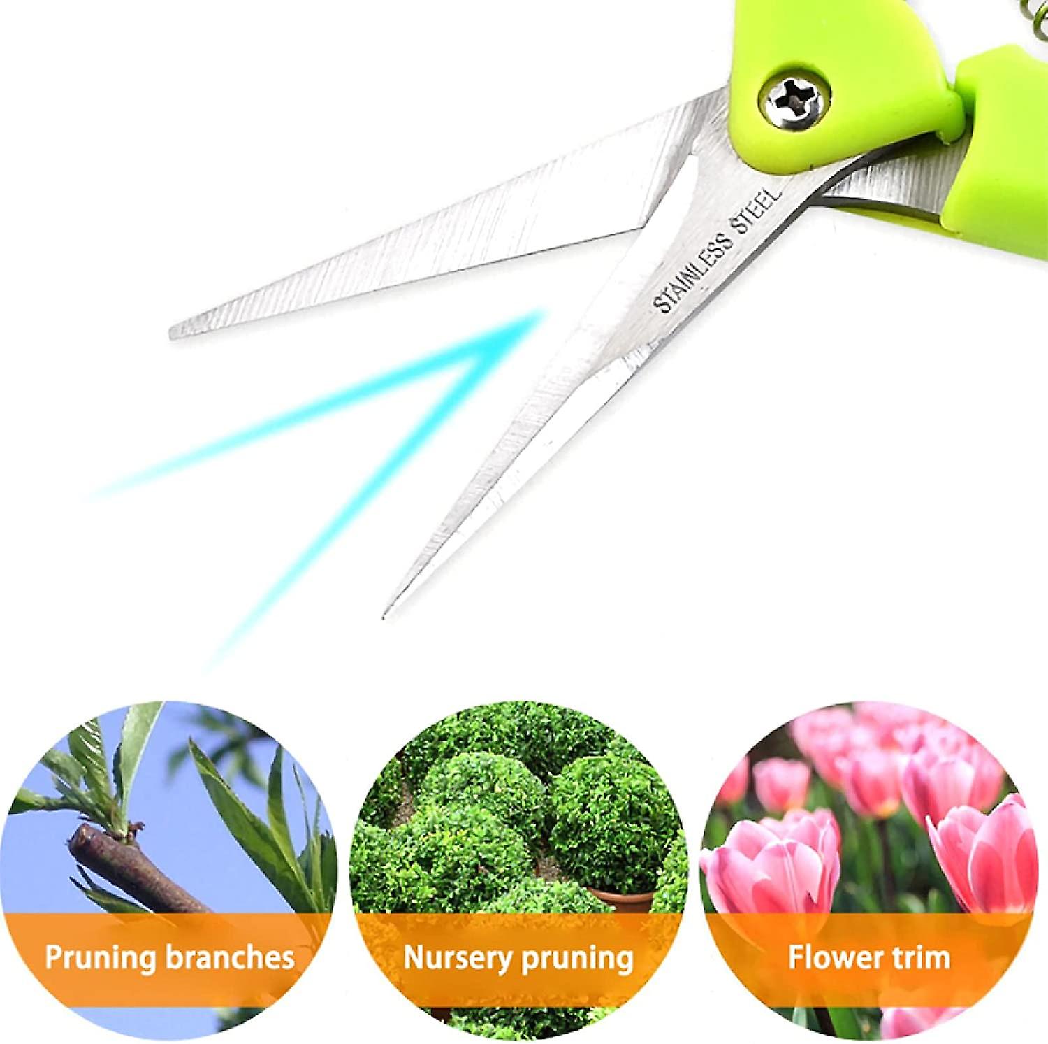 Stainless Steel Garden Pruner For Arranging Flowers, Cutting Hydroponic ...