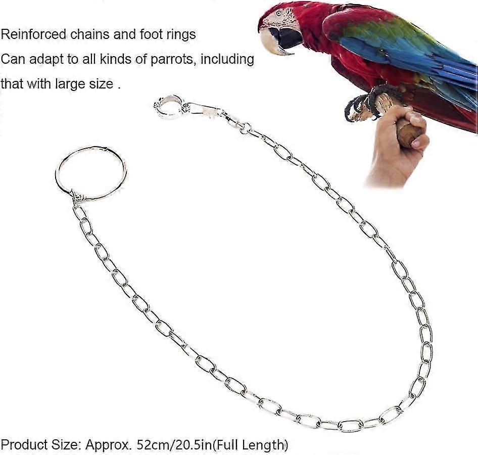 Parrot Foot Chain, Stainless Steel Anti-bite Flying Training Anklet ...