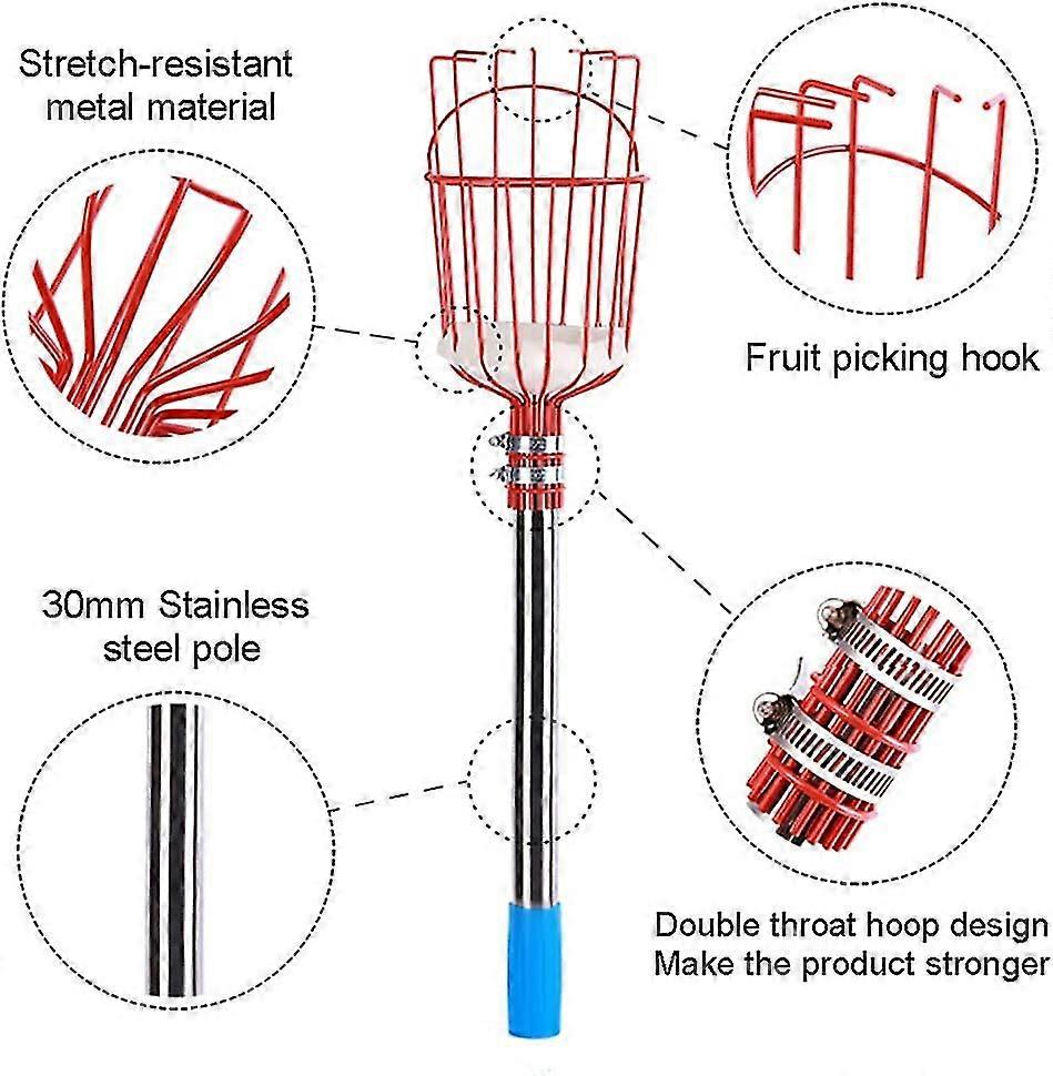 Picking Fruit With Telescopic Handle, Fruit Picker With Handle, Fruit ...