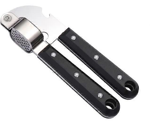 Professional Kitchen Garlic Press, Garlic Press Stainless Garlic ...