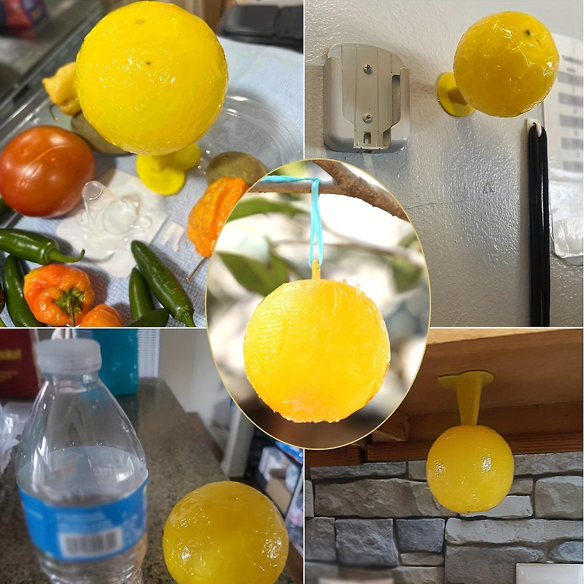1pc, Fruit Fly Balls Fly Ball Trap Sticky Insect Ball Citrus Needle ...