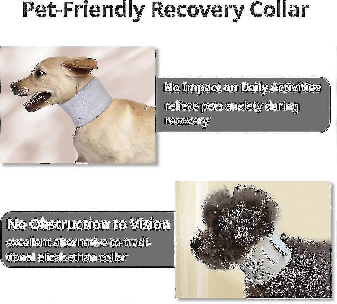 Dog Neck Brace Elizabethan Collar For Pet Recovery After Surgery ...