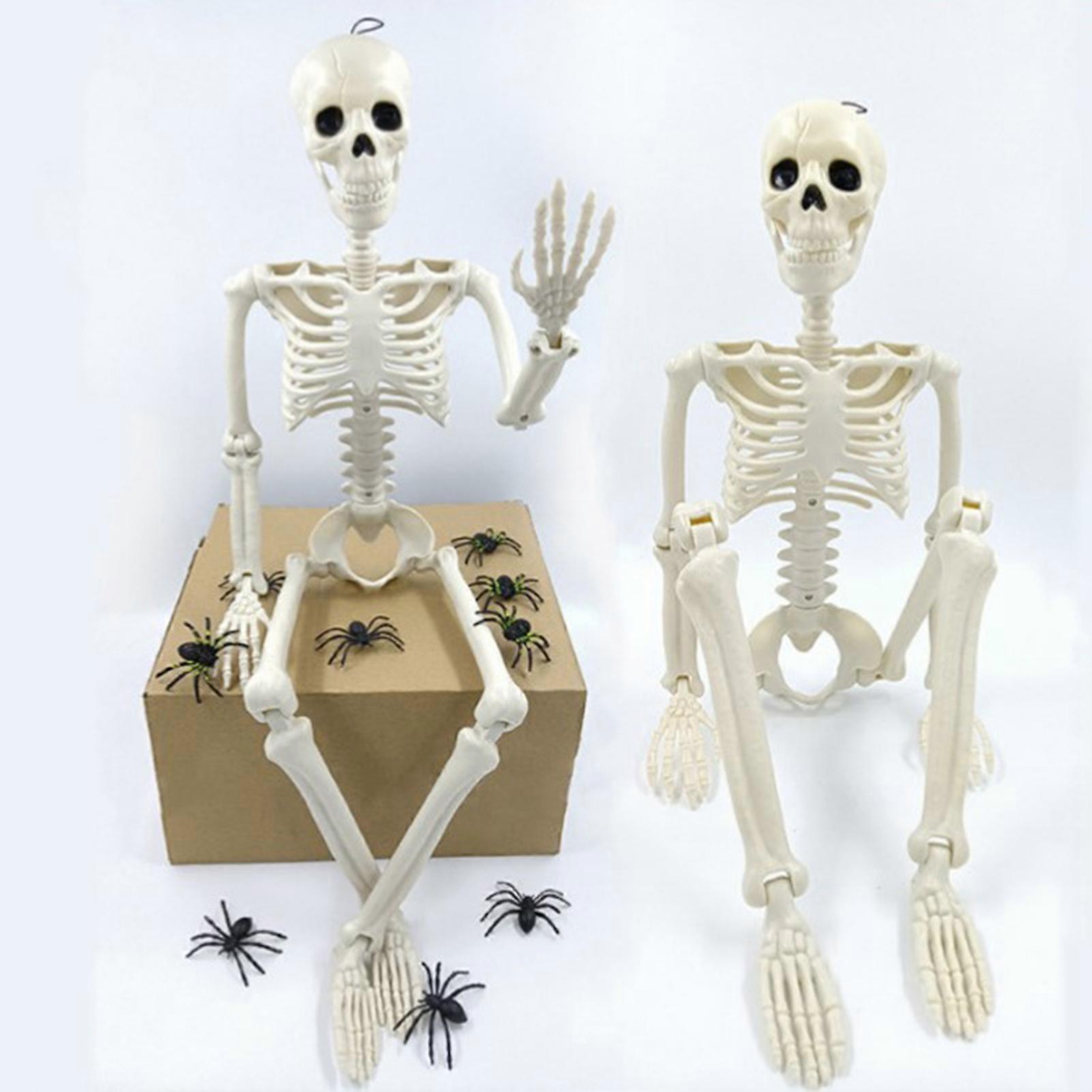 Halloween Skeleton Full Body Posable Joints Realistic Human Skeleton ...