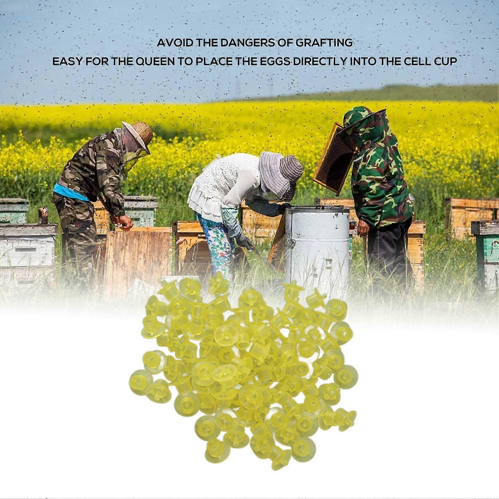 100pcs Queen Bee Rearing Cup Plastic Vivid Color Beekeeping Bee Cell ...