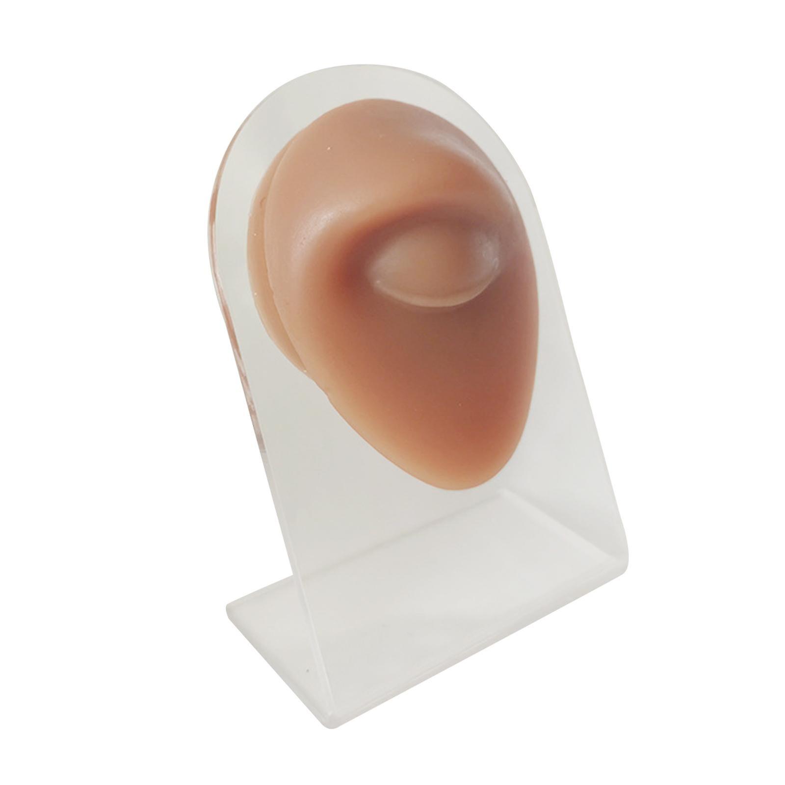 Human Body Part Models Silicone Modeling For Home Eye With Stand ...