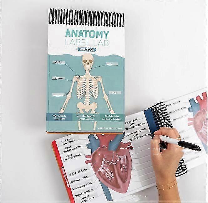 Anatomy Label Lab Workbook,anatomy Terms Workbook,human Anatomy ...