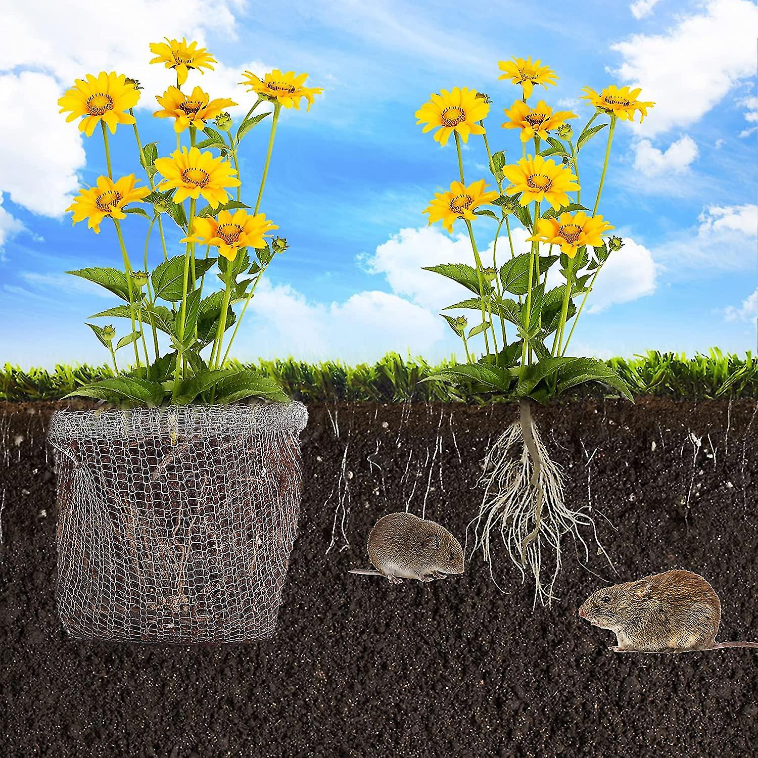 3 Pcs Plant Root Guard Baskets Gopher And Vole Wire Baskets,stainless ...