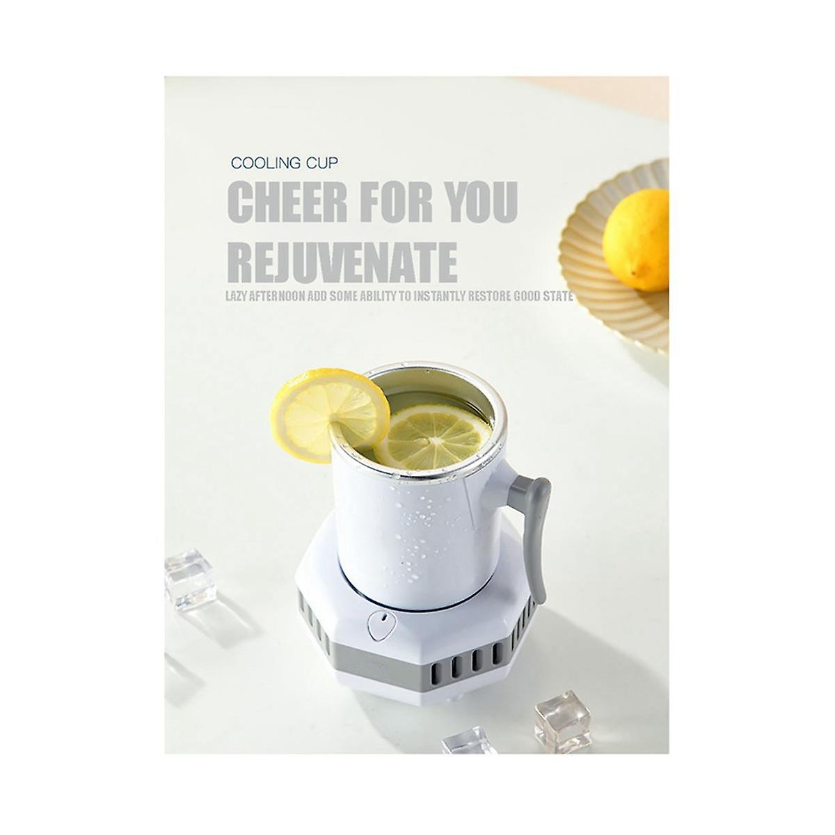 Portable Refrigerator Electric Summer Drink Cooler Kettle Instant Quick ...