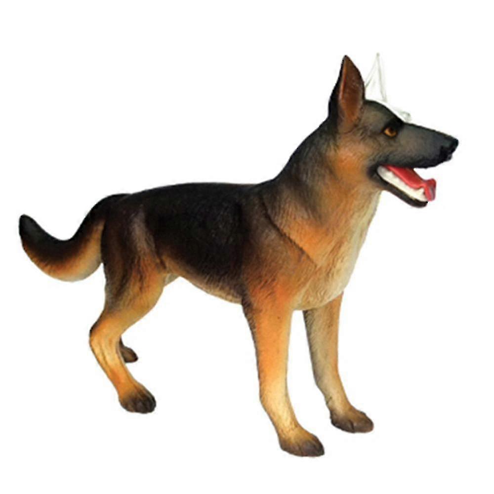 Animal Anatomy Model 4d Dog Intelligence Assembling Toy Teaching ...