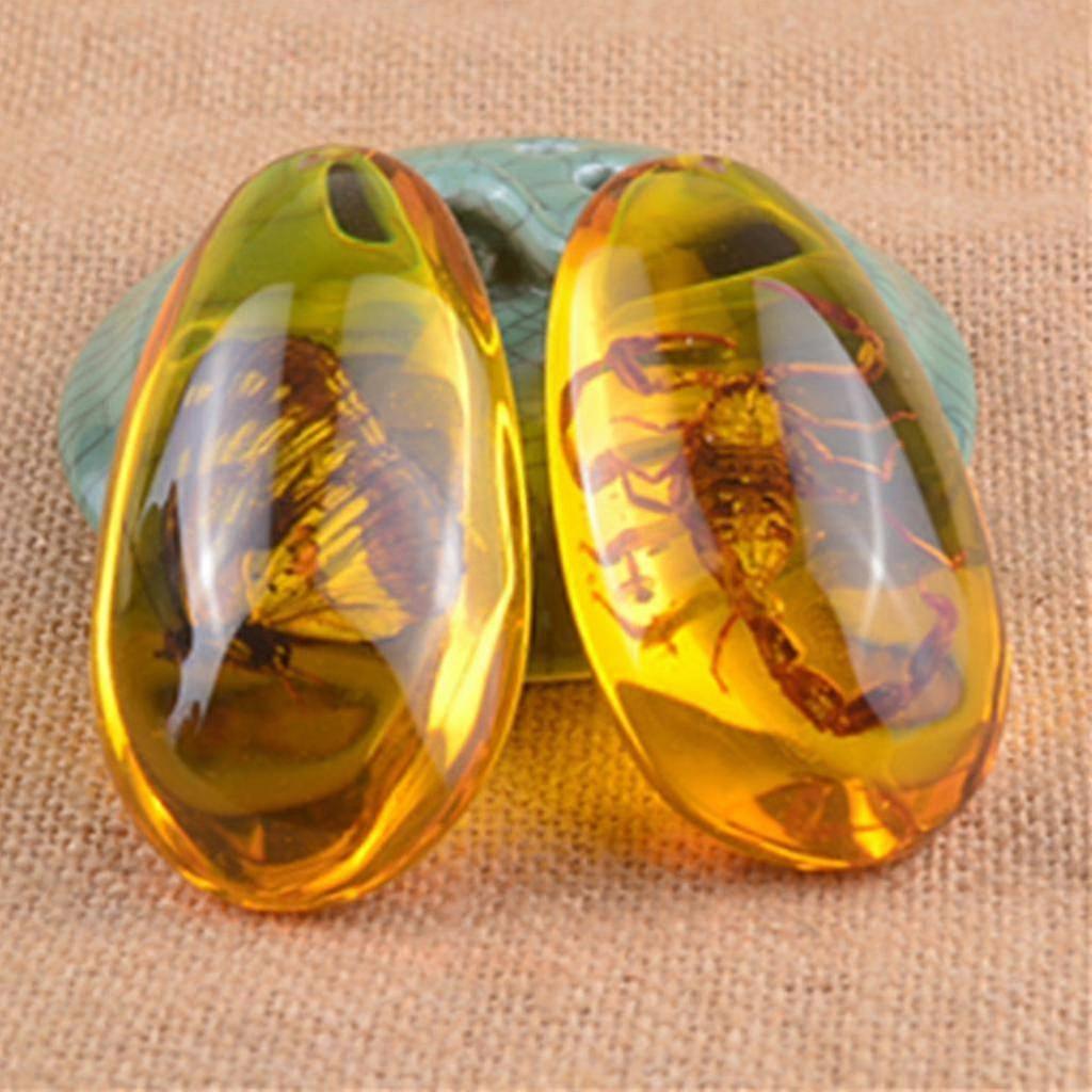 Insect Amber Butterfly Scorpions Golden Clear Block Education Real ...