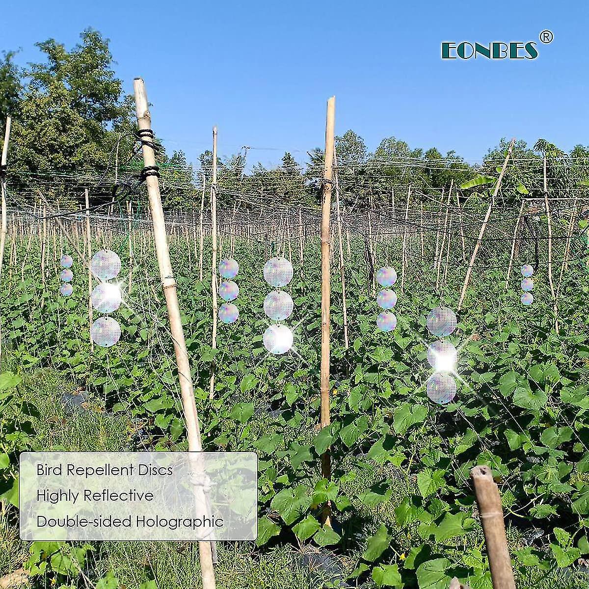 Holographic Reflective Bird Scare Discs For Woodpeckers And Pigeons ...