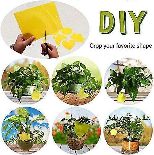 50 Pack Yellow Boards Fly Trap Stickers,Yellow Sticky Insect Traps ...