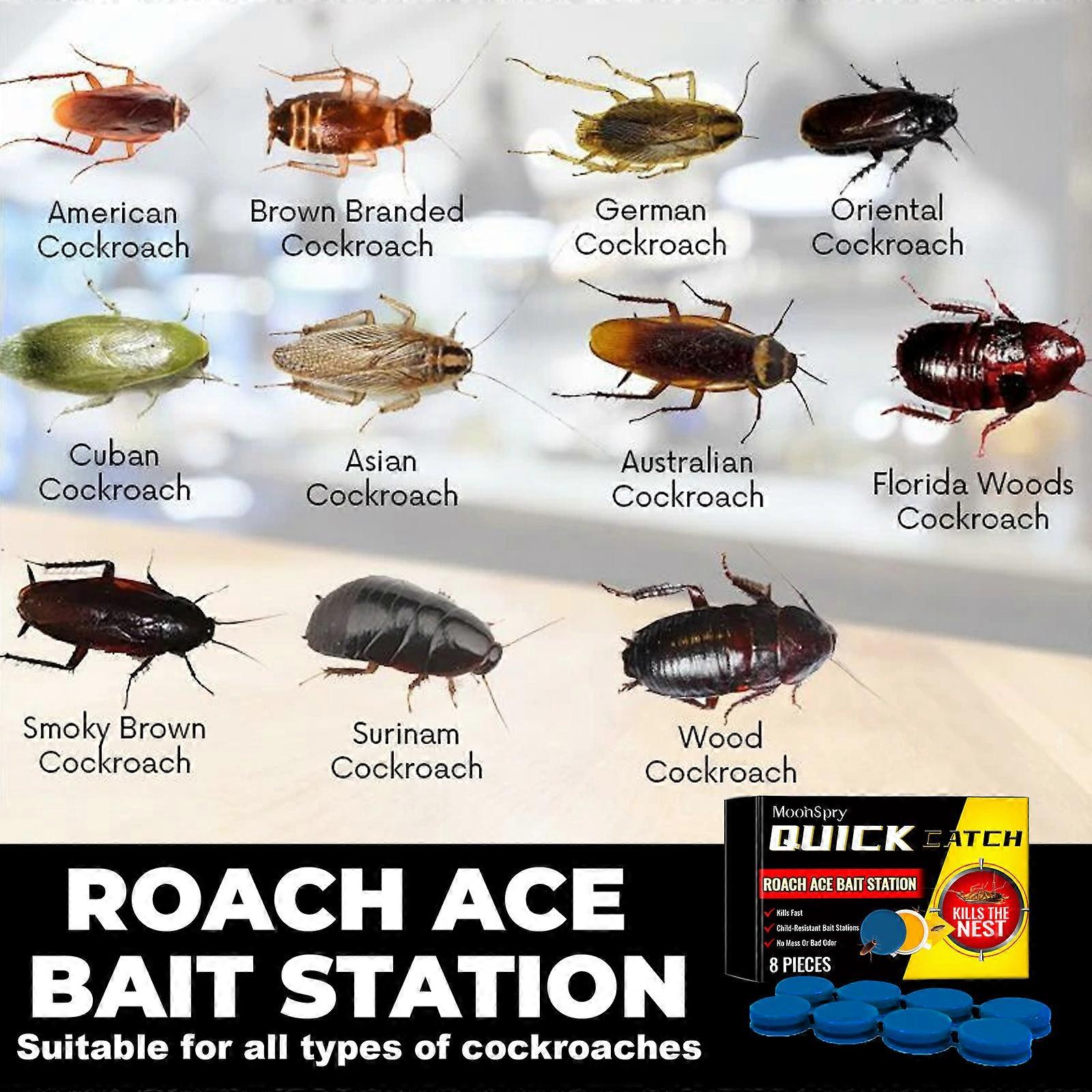Cockroach bait stations, natural cockroach repellent, cockroach traps ...
