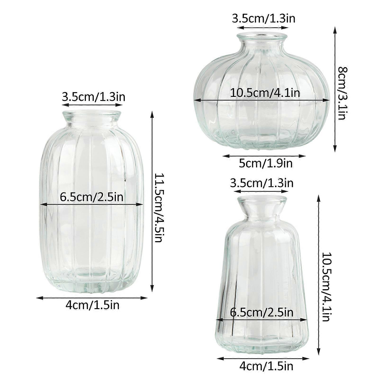 Glass Bud Vase, 3Pcs/Set Modern Decorative Small Mini Flowers Vases ...