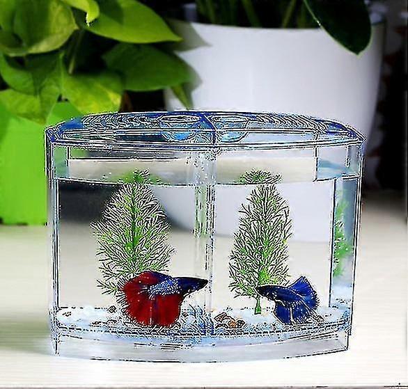 Rearing Aquarium Tank Betta Incubator Small Betta Mini Double Isolation ...