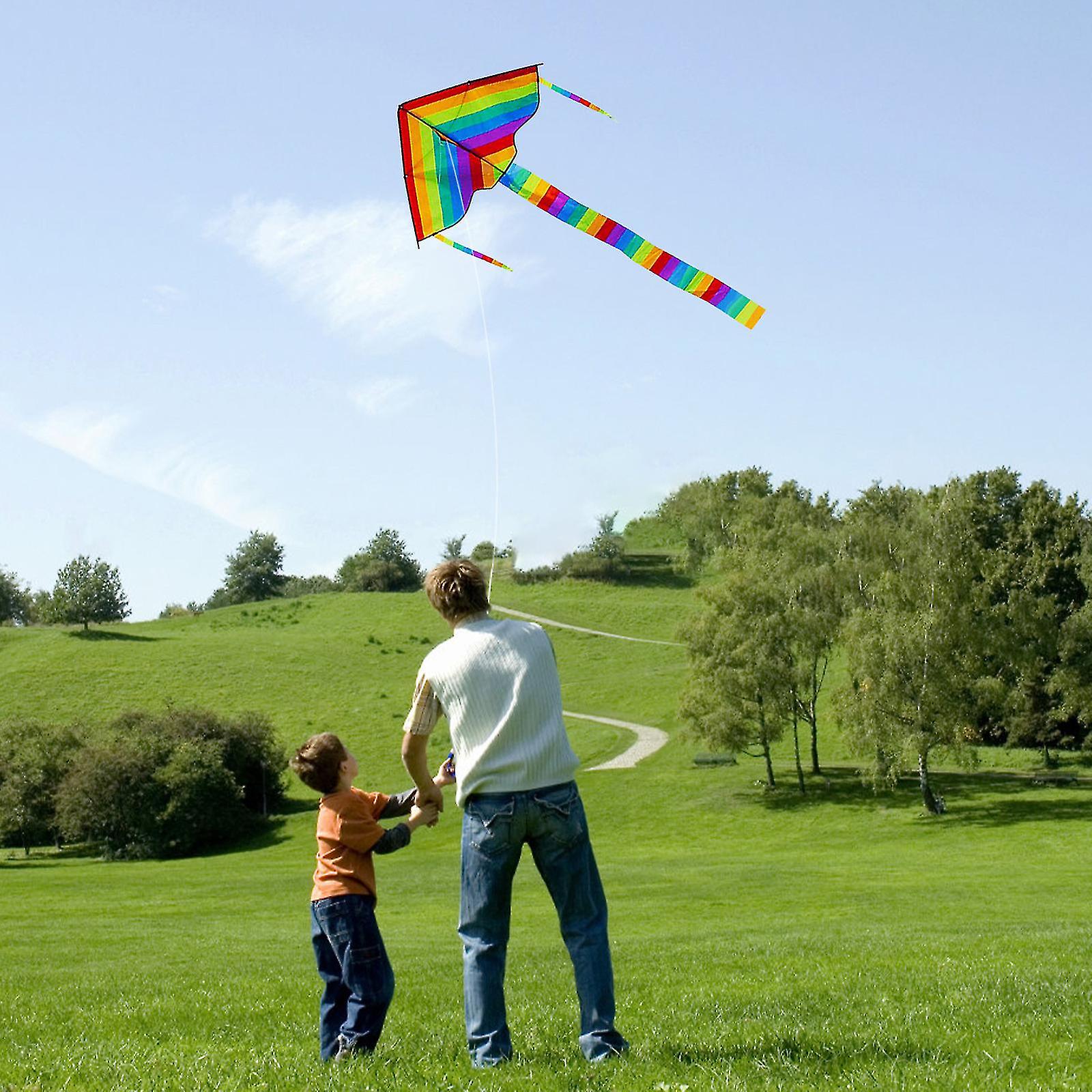 Kites For Kids Kites For The Beach Huge Kite For Kids Colorful Kite ...