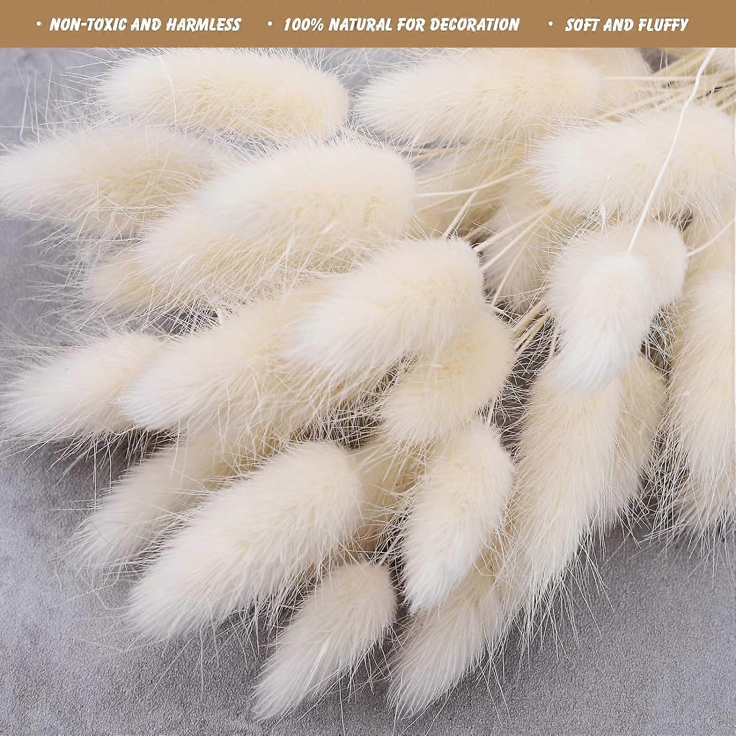 50 Pcs 17.7 Inches Lagurus Bunny Tails Pampas Grass Decor White Pink ...
