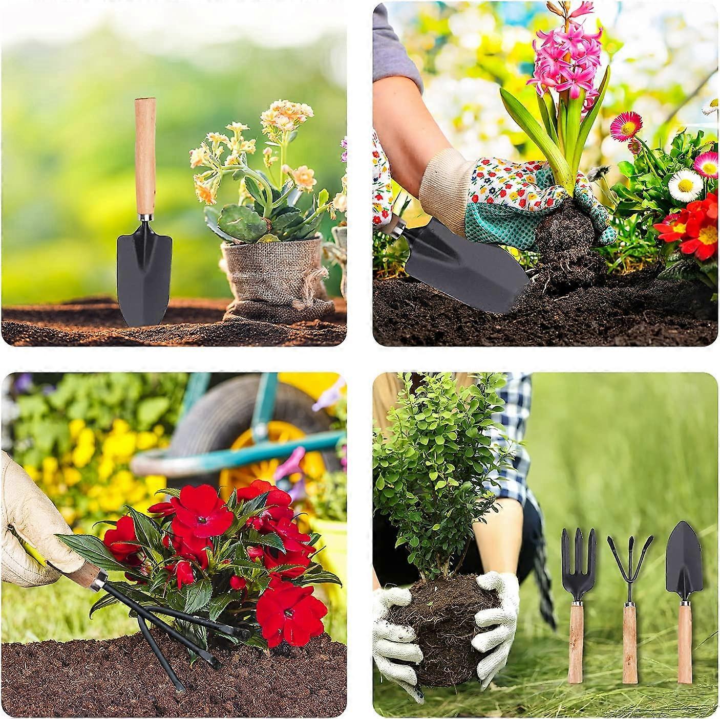 3 Piece Garden Tool Kit Including Hand Fork, Garden Tool Set, Hand Rake ...