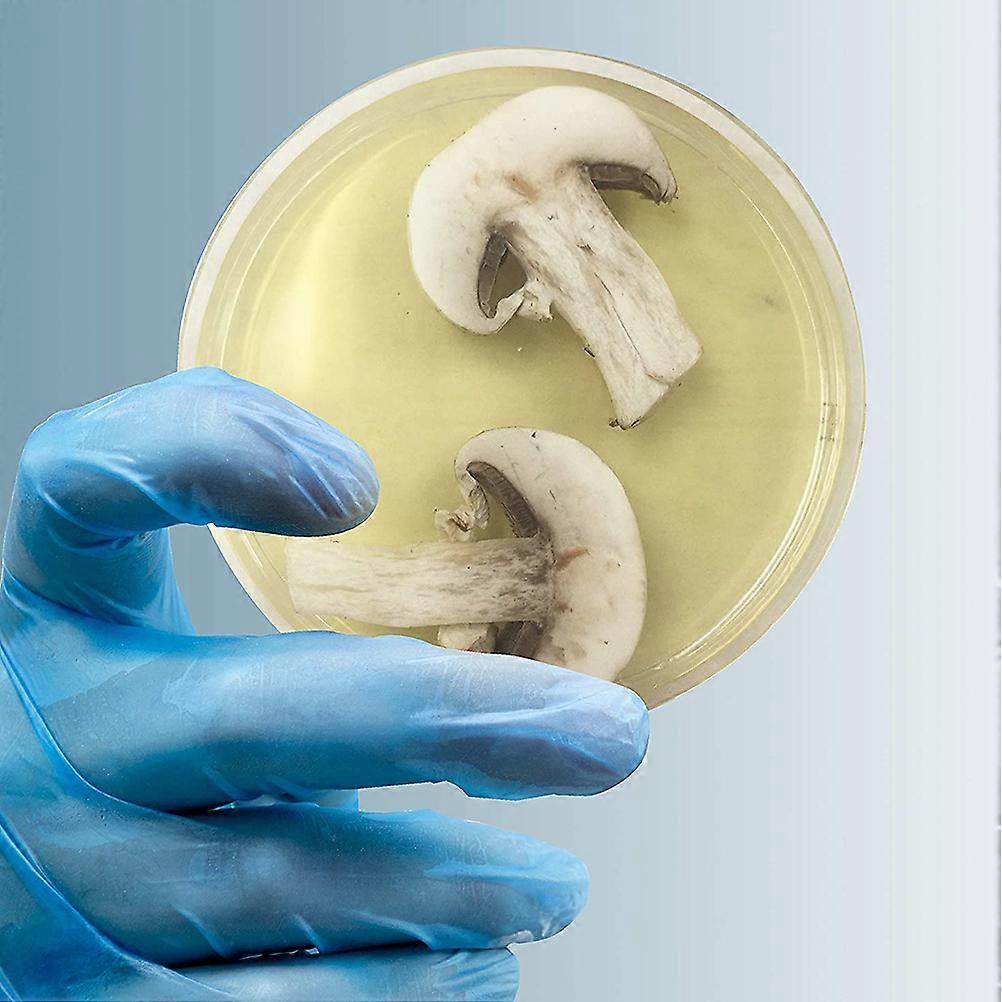 10pcs R2A Agar Plates Disposable R2A Agar Medium Agar Plates Biological ...