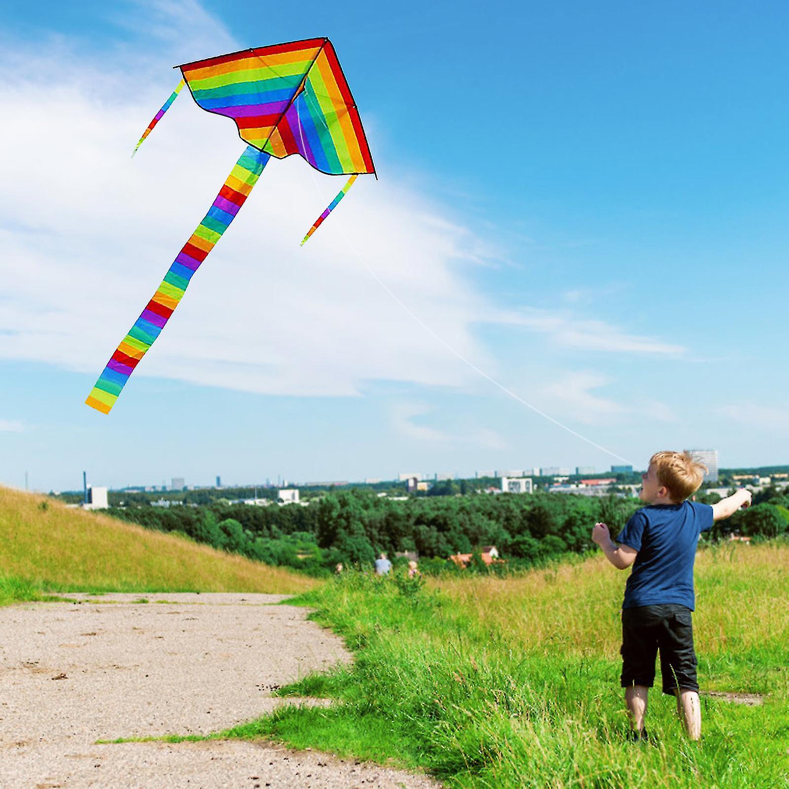 Kites For Kids Kites For The Beach Huge Kite For Kids Colorful Kite ...