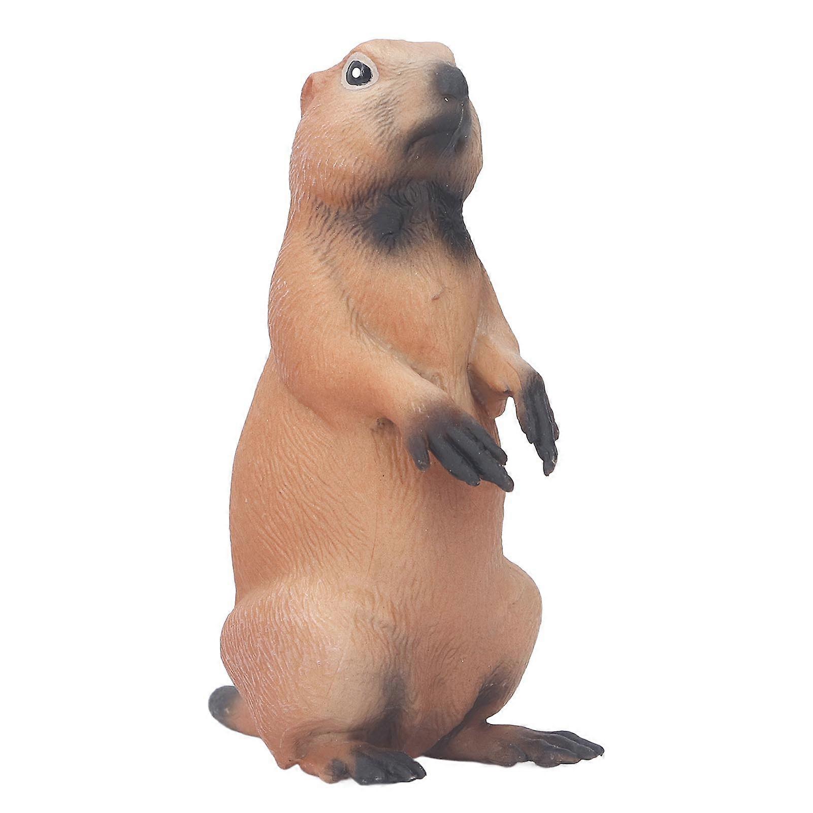 Groundhog Statue Toy Wild Animal Figurine Model Simulation Animal ...