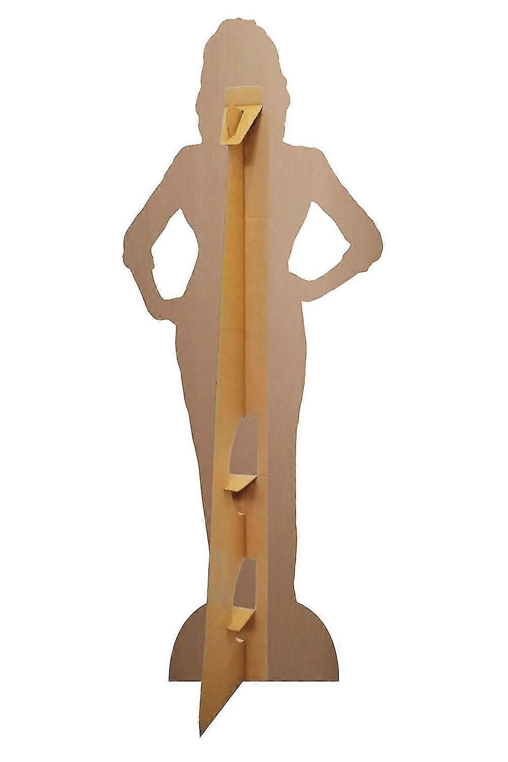 Celebrity Singer Lifesize Cardboard Cutout / Standee | Fruugo UK