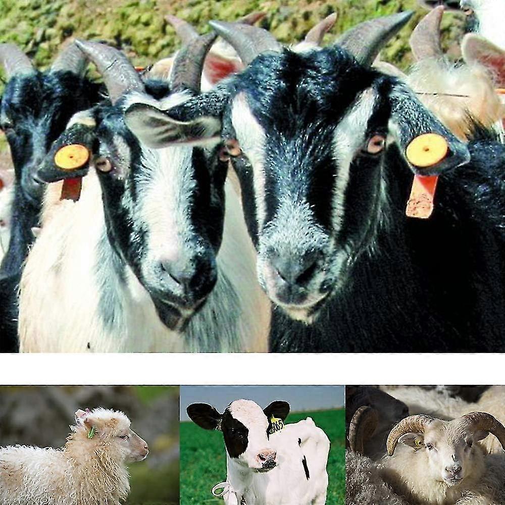 Farm 100 Pcs Sheep Ear Tags With Number 001-100 Livestock Ear Tag For ...