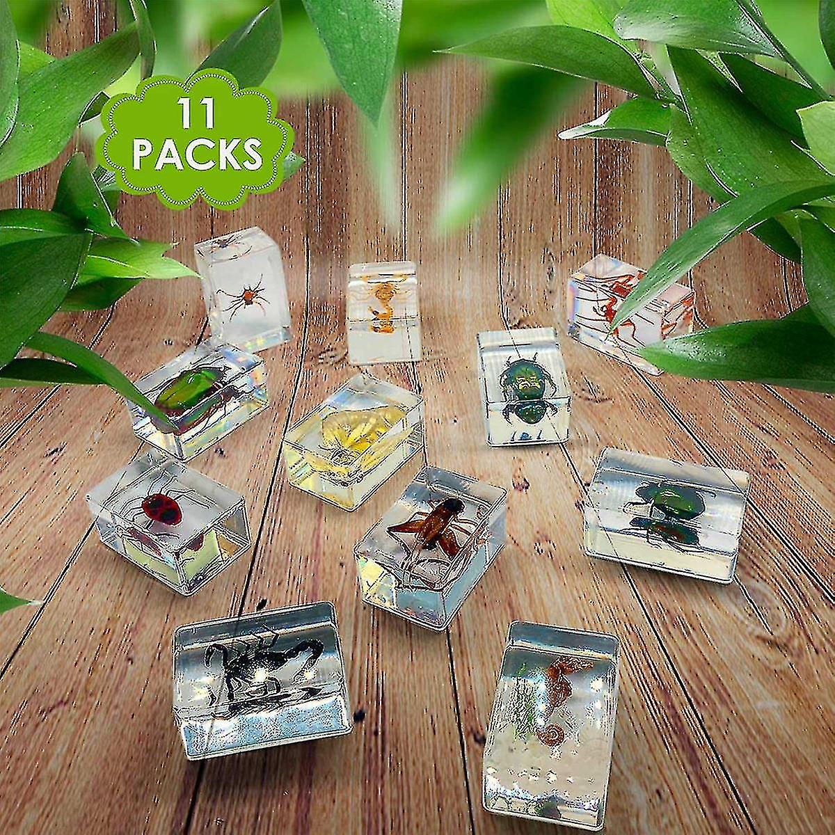 Srbtv-11pcs Resin Insect Specimens, Insect Paper Weight, Resin Real ...