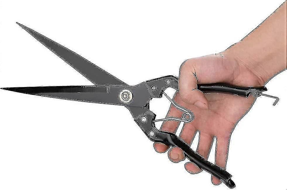 Hand Shears For Gardening Or Sheep Shearing - Manganese Stainless Steel ...