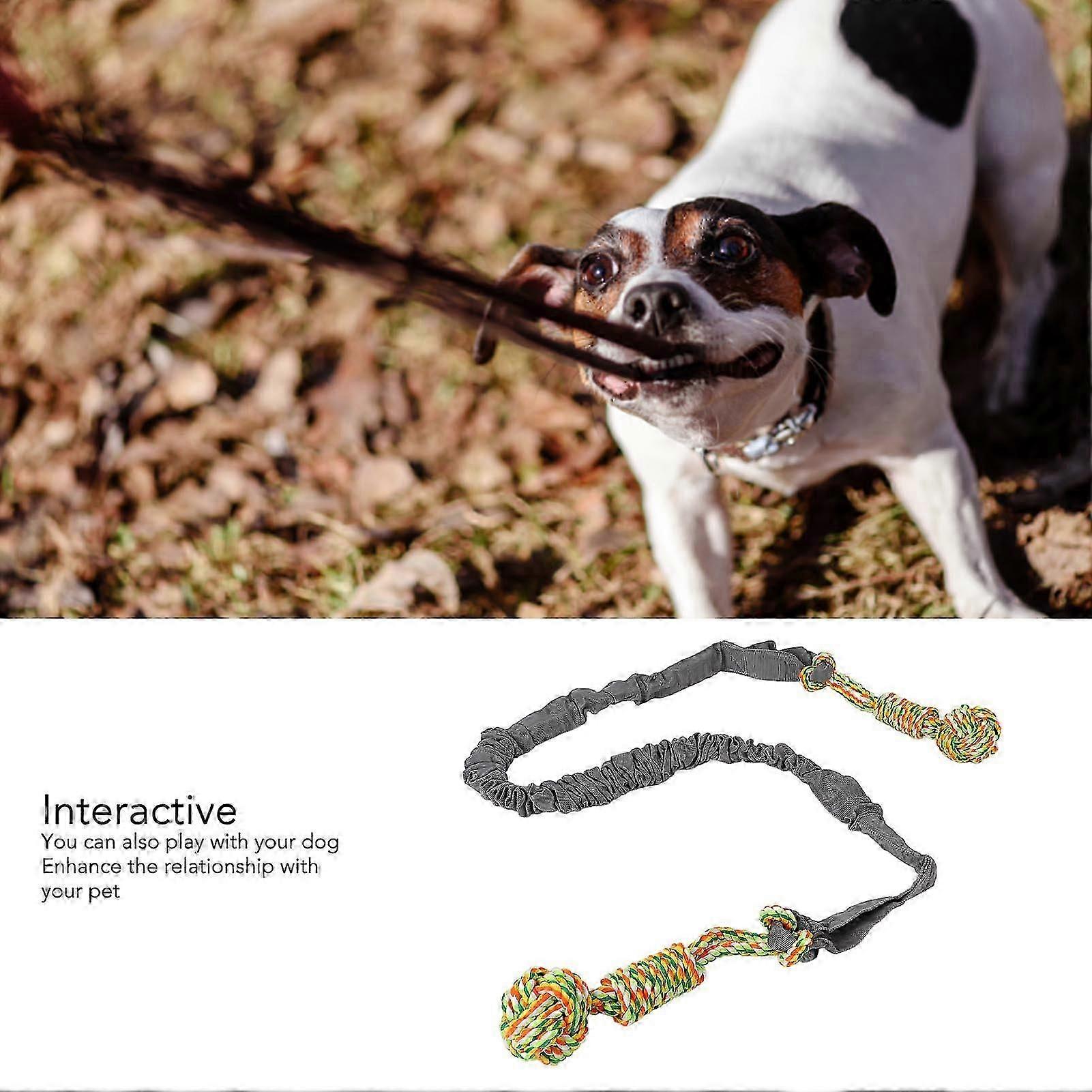 Dog Tug Rope Toy Bite Resistant Teeth Grinding Interactive Hanging Pet ...