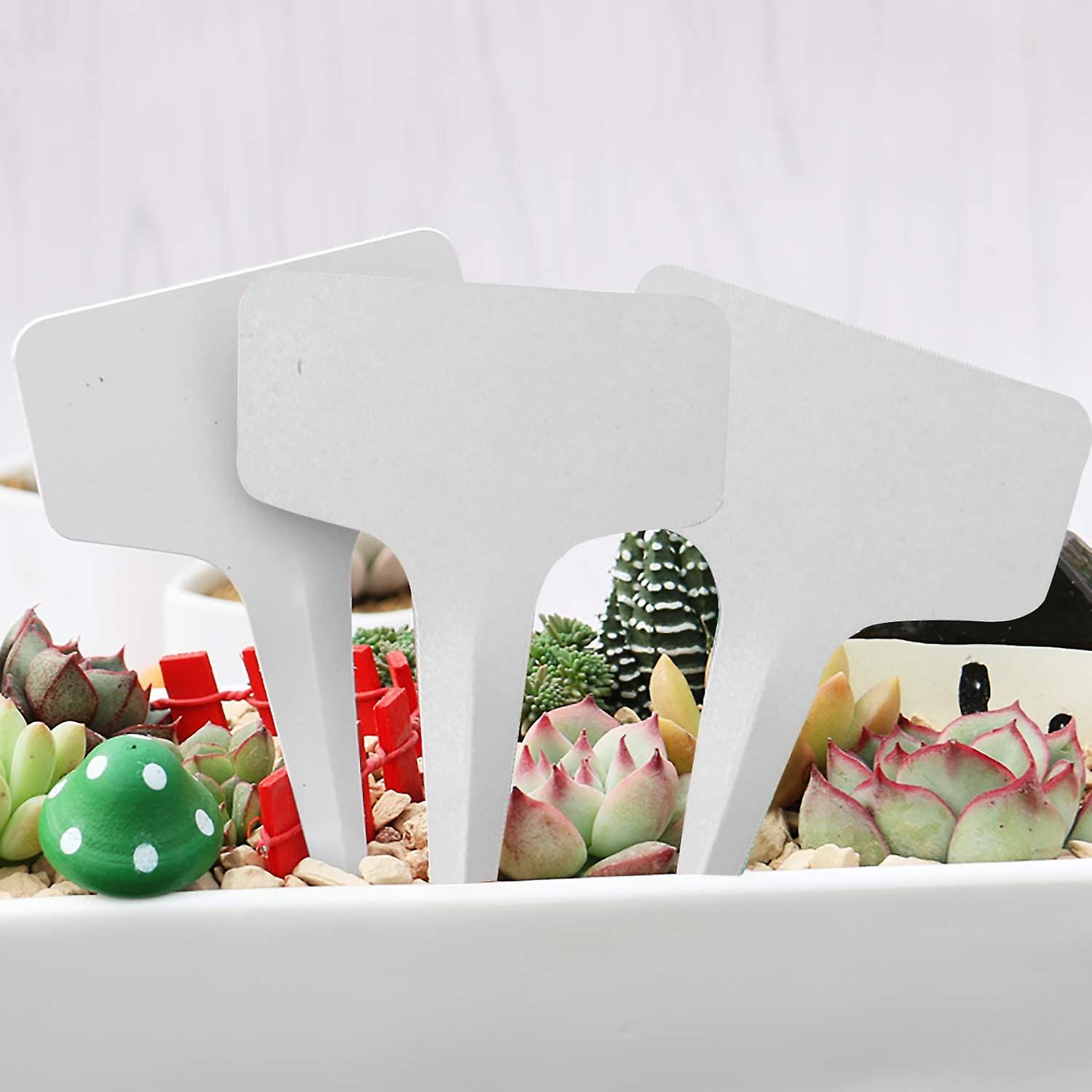 100pcs Weatherproof Plant Labels: Easily Organize Your Garden With T ...